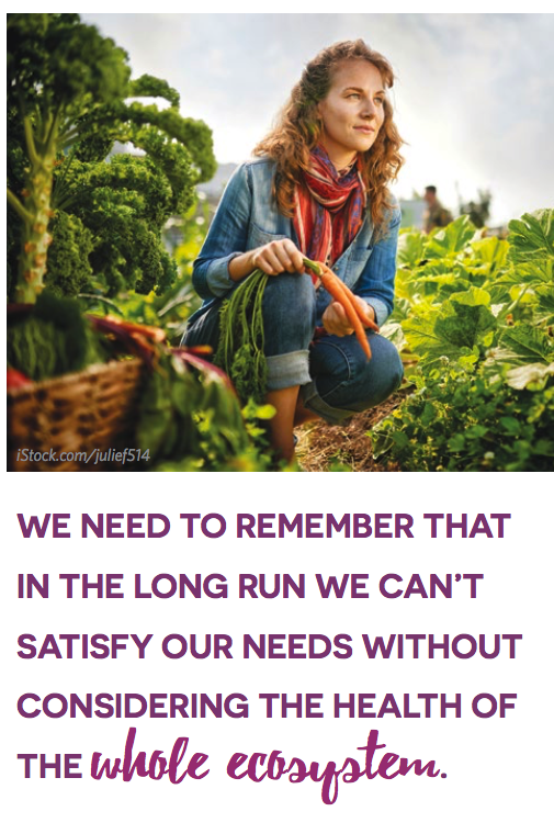 Living covenantally and sustainably - The Presbyterian Outlook