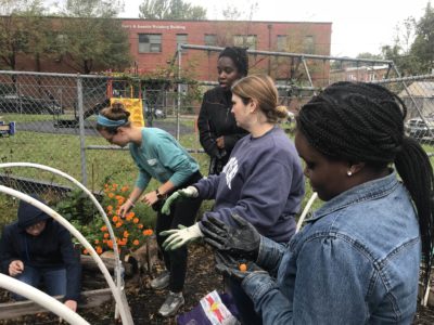 Hands and Feet initiative gains traction and picks up speed - The ...