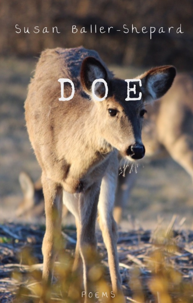 Doe - The Presbyterian Outlook