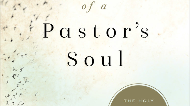 Diary of a Pastor’s Soul: The Holy Moments in a Life of Ministry - The ...
