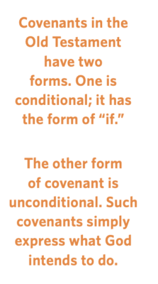 The self-binding God: The divine covenant and the Christian life - The ...