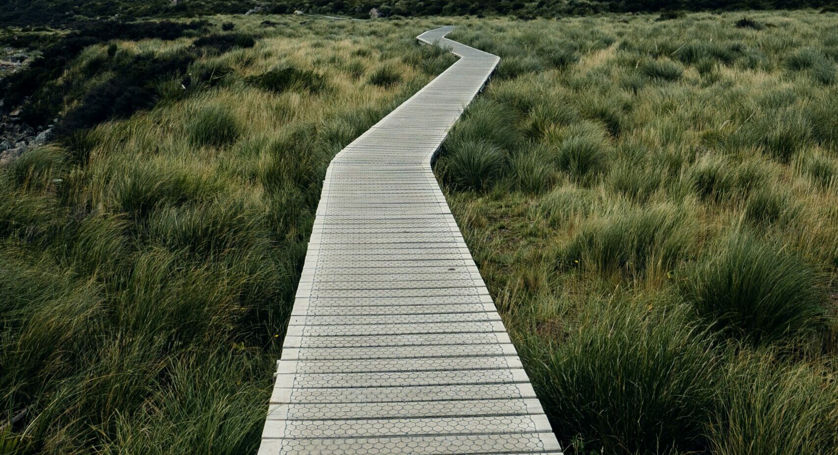 Language is a bridge, not a barrier - The Presbyterian Outlook